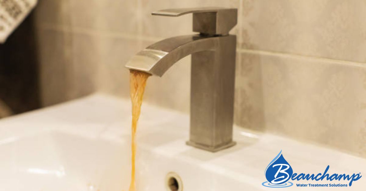 A Complete Guide to Understanding Iron Levels in Your Water Supply